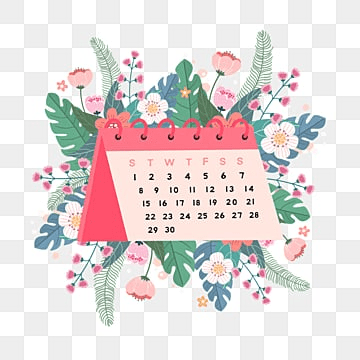 Portfolio — Ayman Sohail